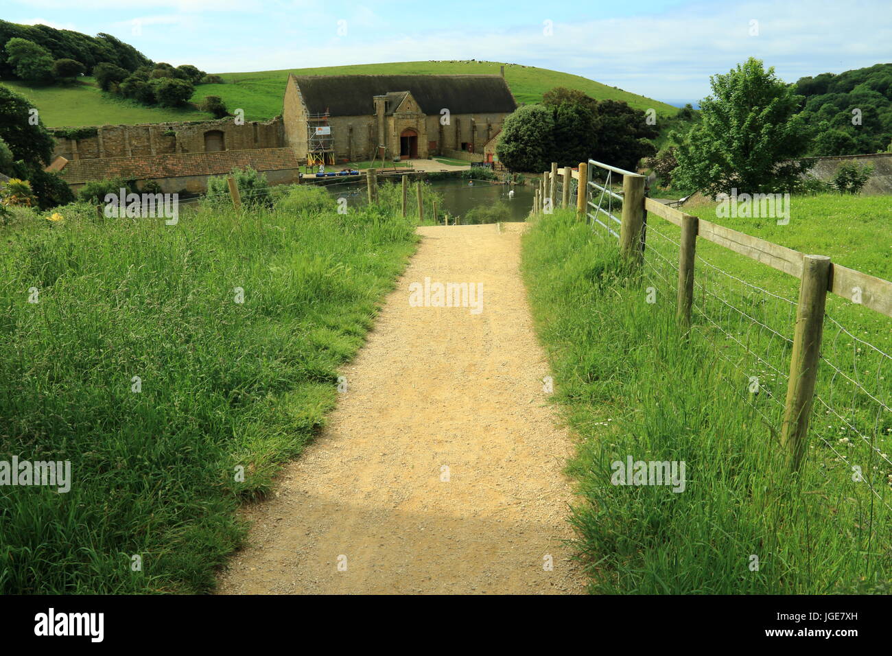 15th century Tythe Barn,Abbotsbury,Dorset,UK Stock Photo - Alamy