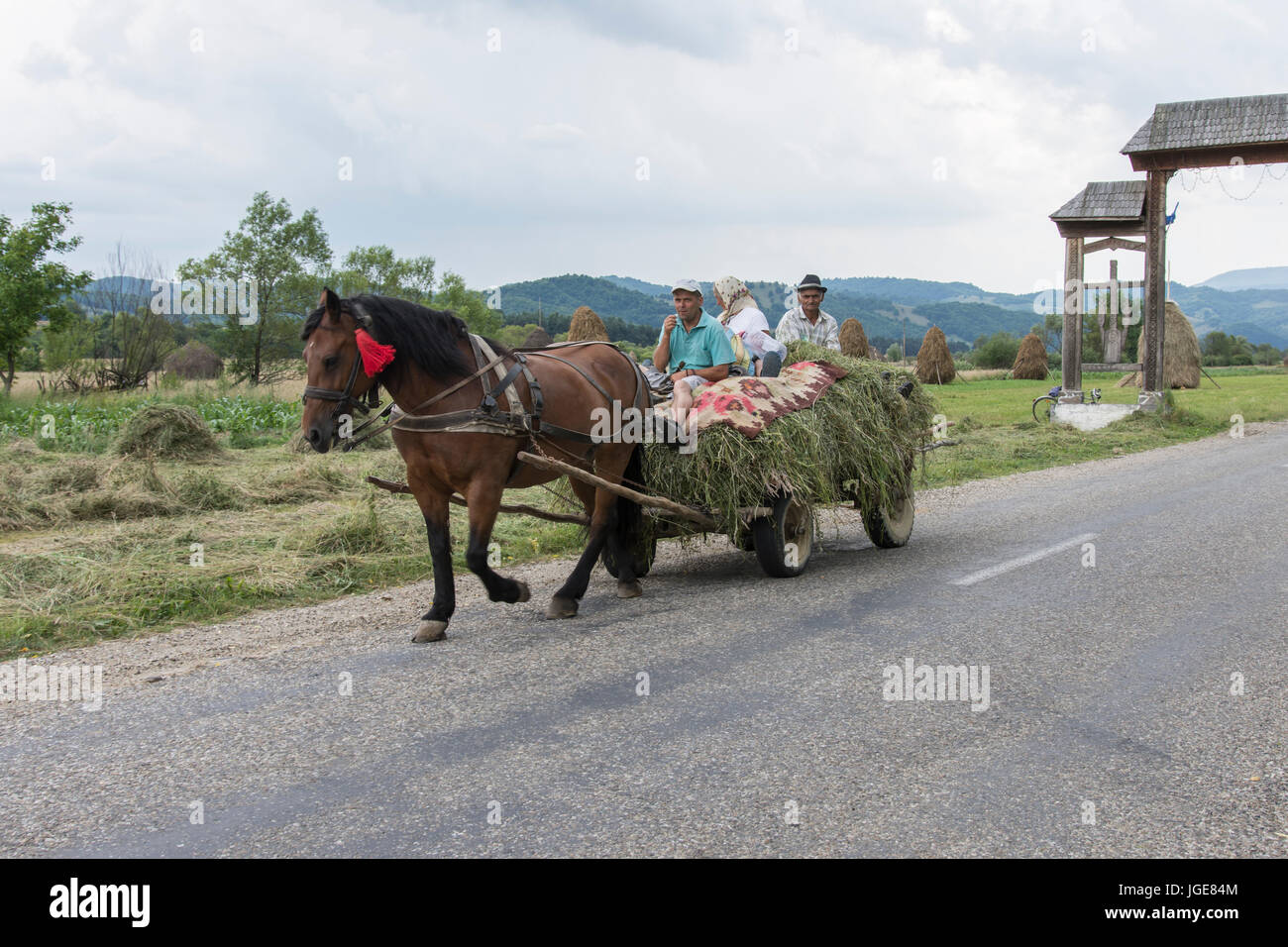 Horse Wagon Hay Stock Photos & Horse Wagon Hay Stock Images - Alamy