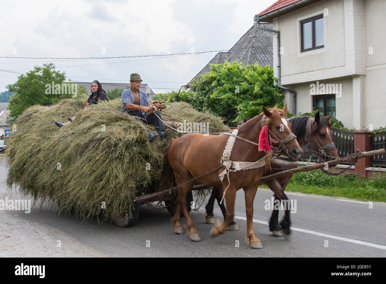 Cart pulled by ox hi-res stock photography and images - Alamy
