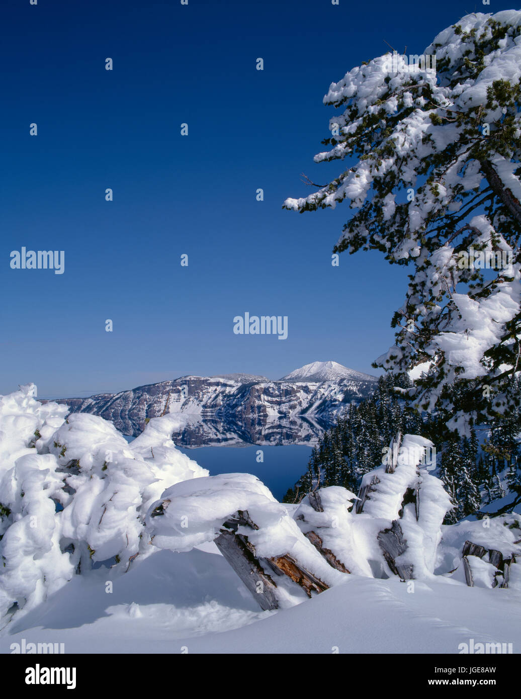 USA, Oregon, Crater Lake National Park, Winter snow accumulates at ...