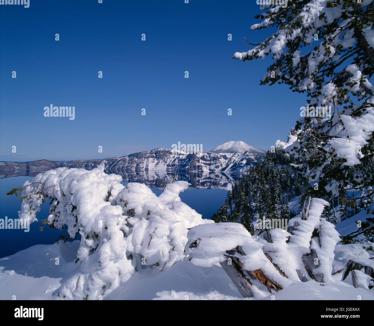 USA, Oregon, Crater Lake National Park, Winter snow accumulates at ...
