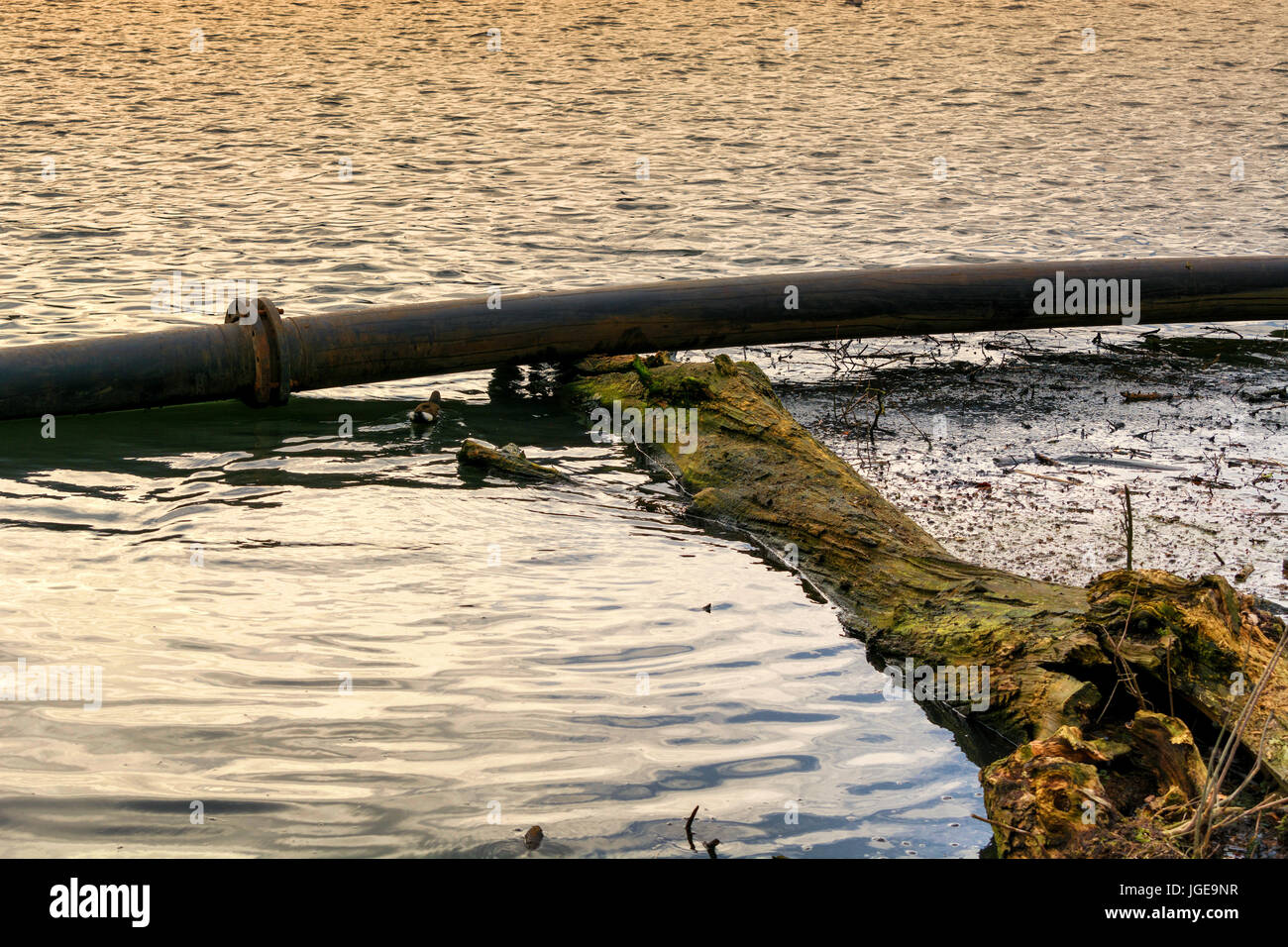Pipeline, plastic pipes float on the water surface Stock Photo - Alamy
