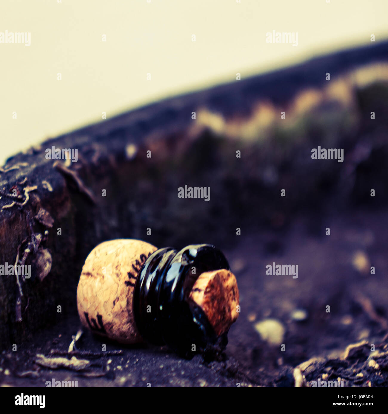 Champagne cork after cut Stock Photo - Alamy