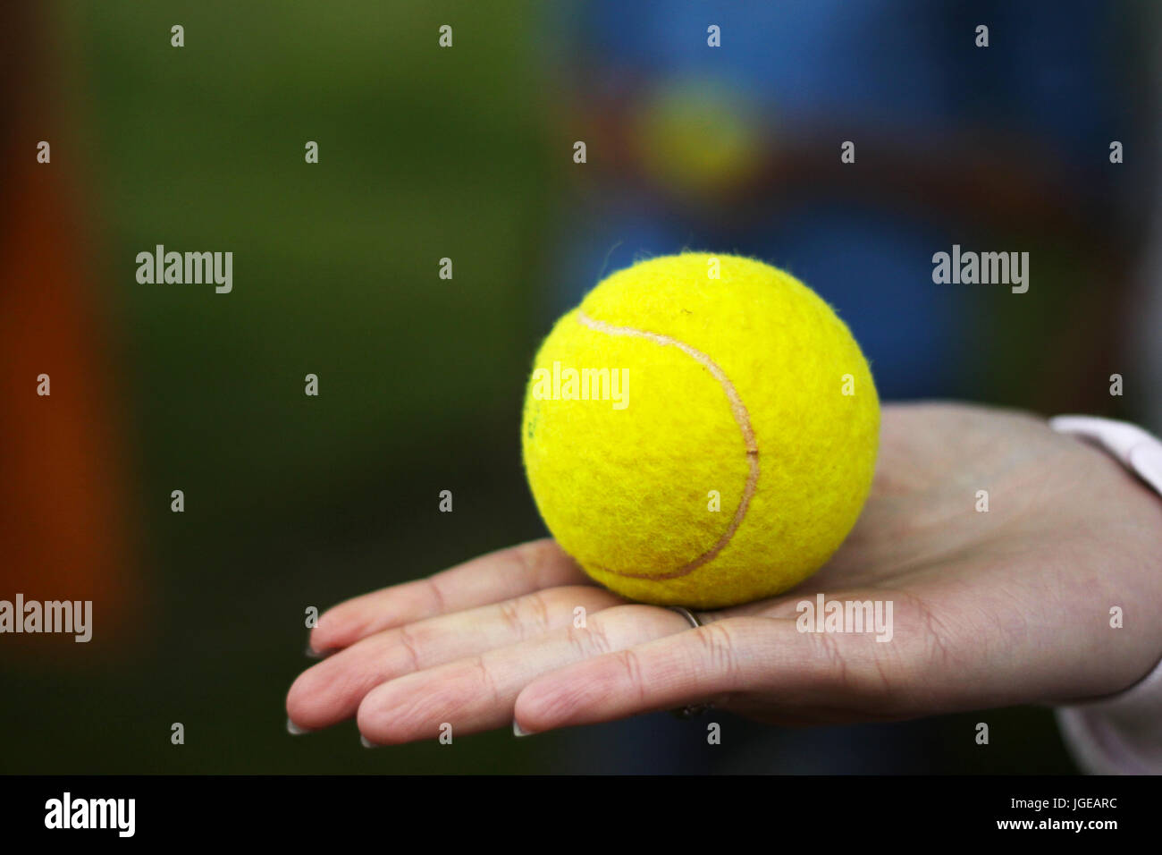 Tennis ball on a hand Stock Photo - Alamy