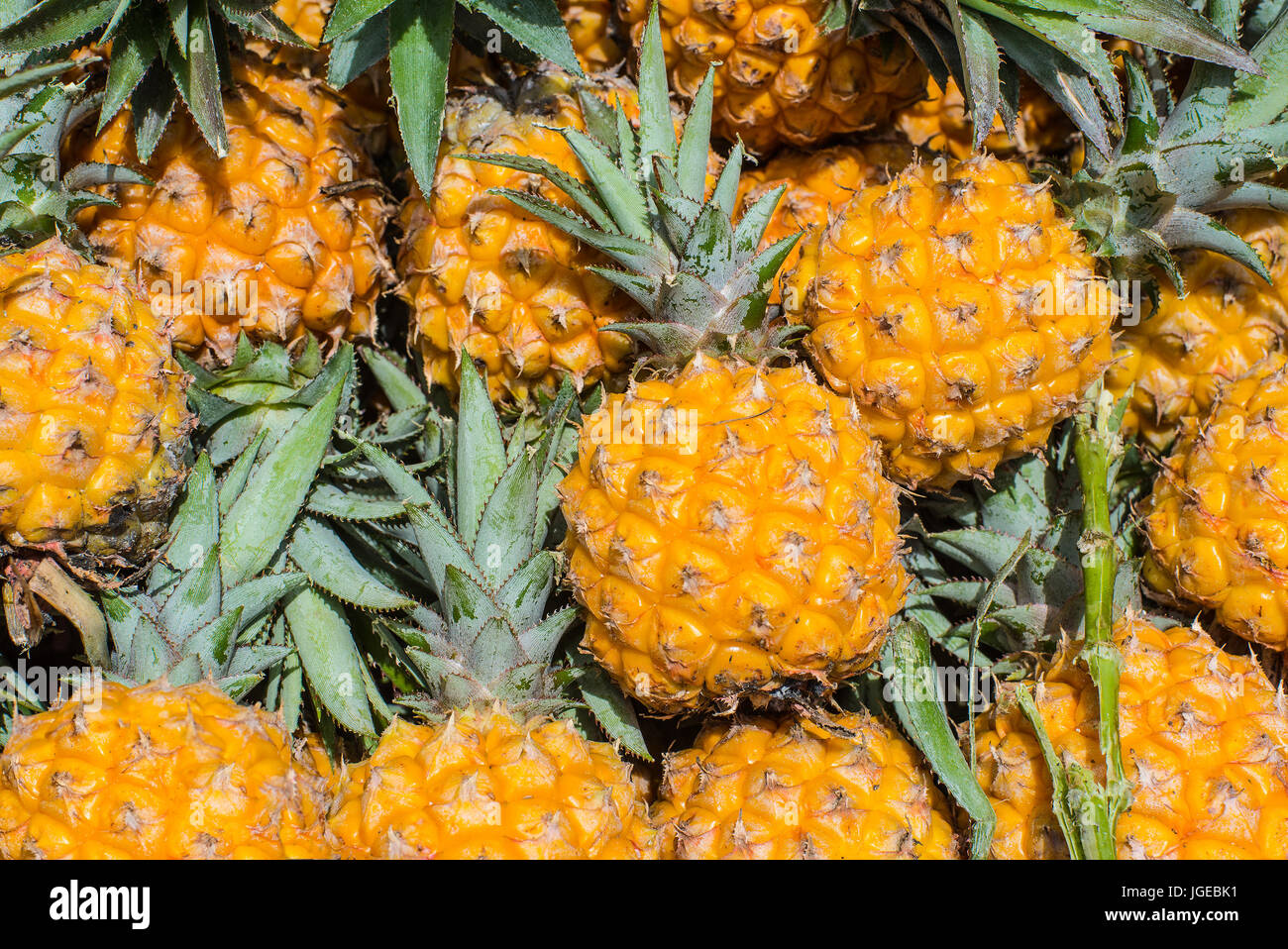 Fresh pineapples background Stock Photo - Alamy