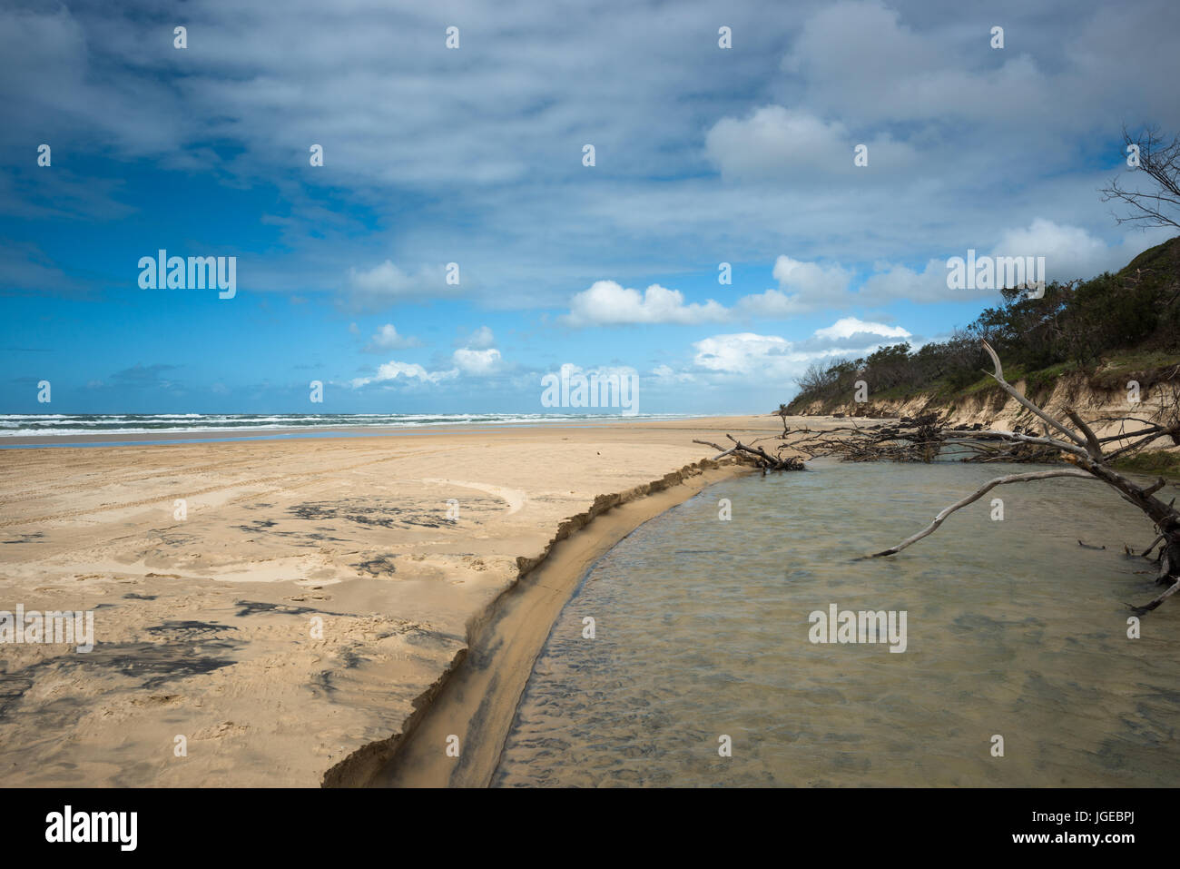 River Eli Creek, Great Sandy National Park, Fraser Island, Queensland ...