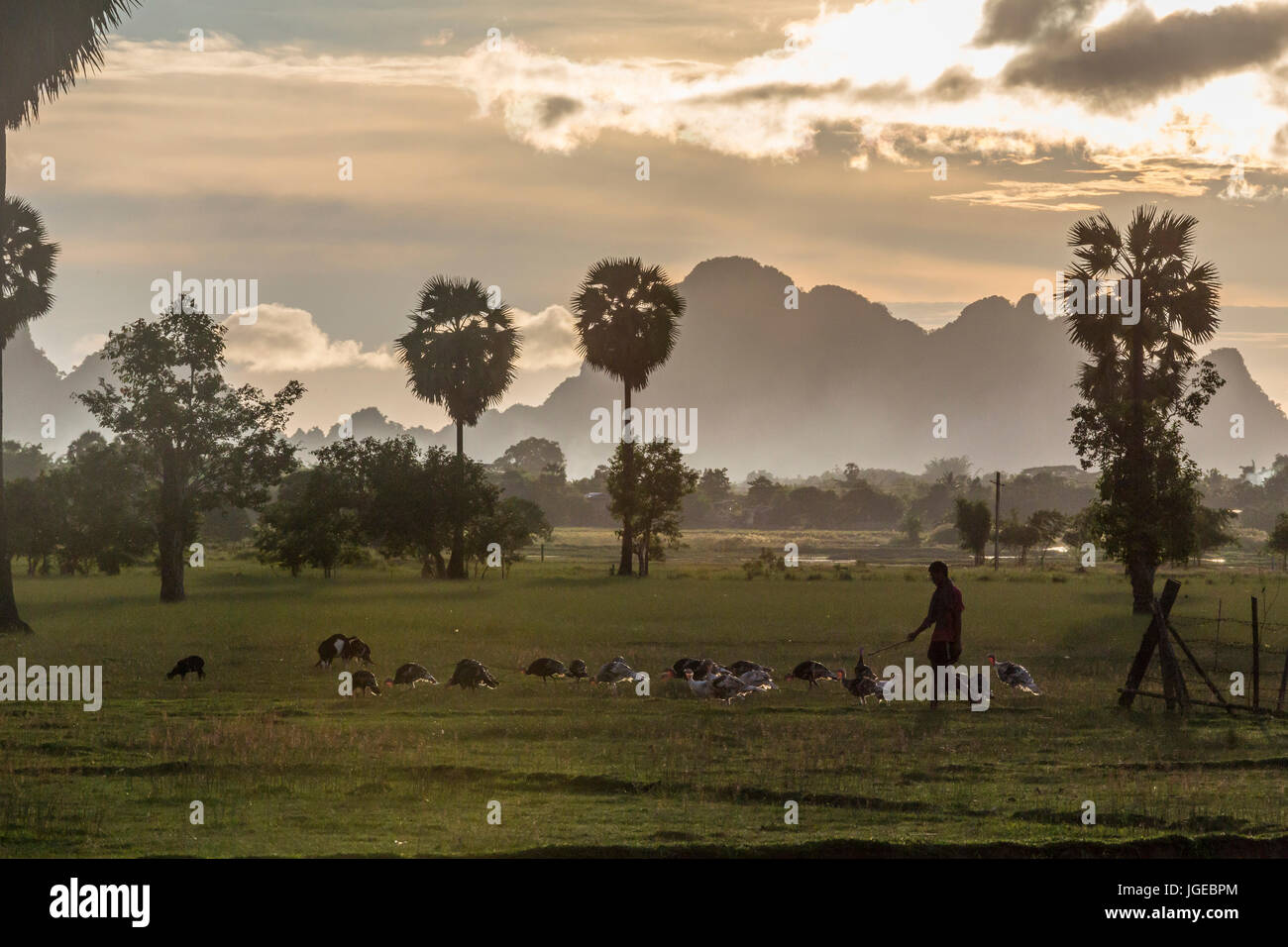 Man taking care of his life stock Stock Photo - Alamy