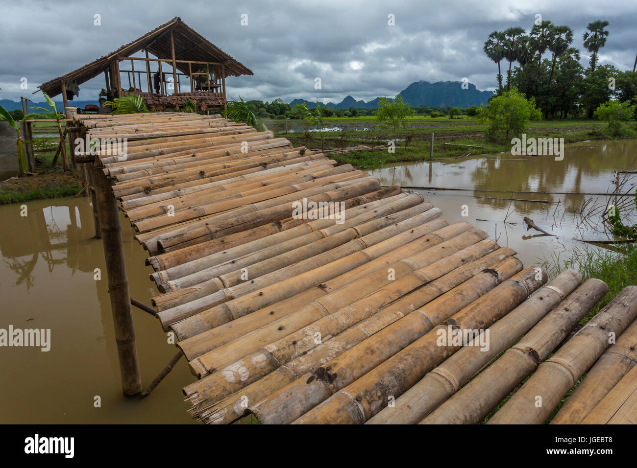Myanmar rice field house hi-res stock photography and images - Alamy