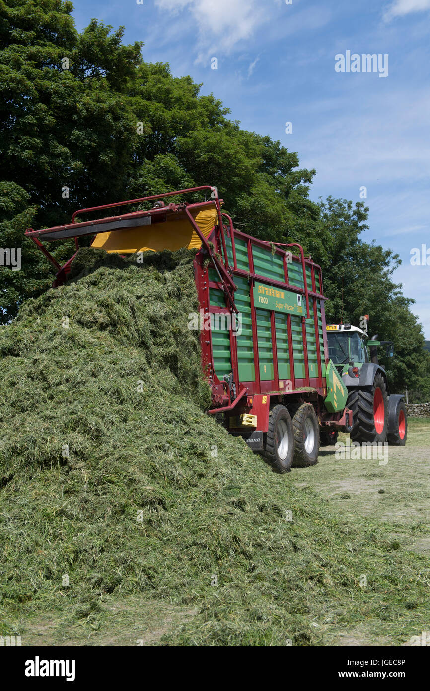 Making silage crop in the Yorkshire Dales with a Strautmann Forage ...