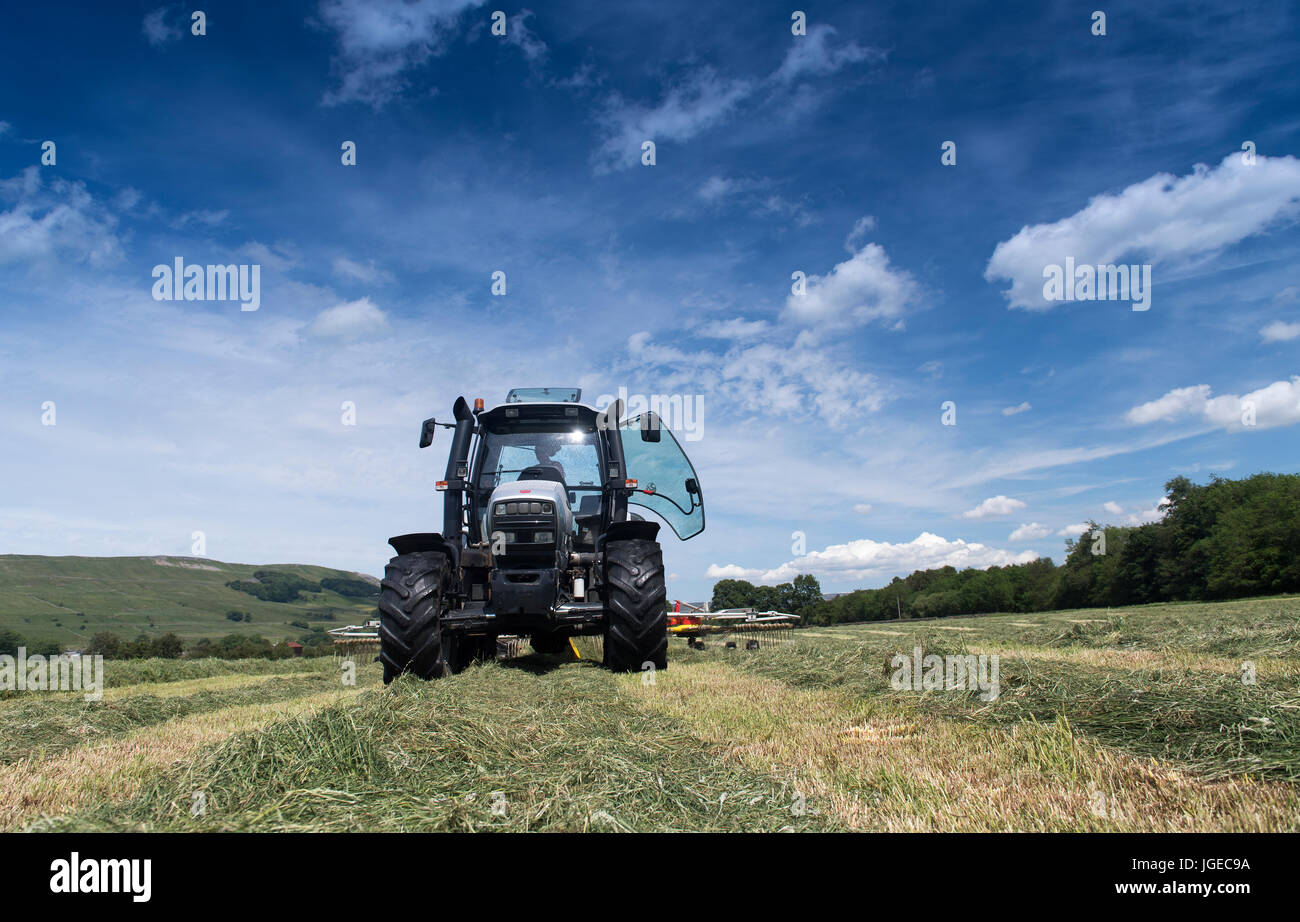 Pulling up grass hi-res stock photography and images - Alamy