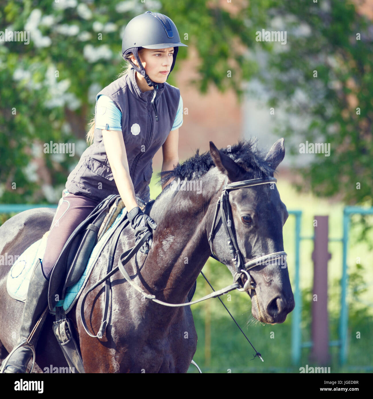 Young rider girl on horse at dressage competition. Equestrian sport ...