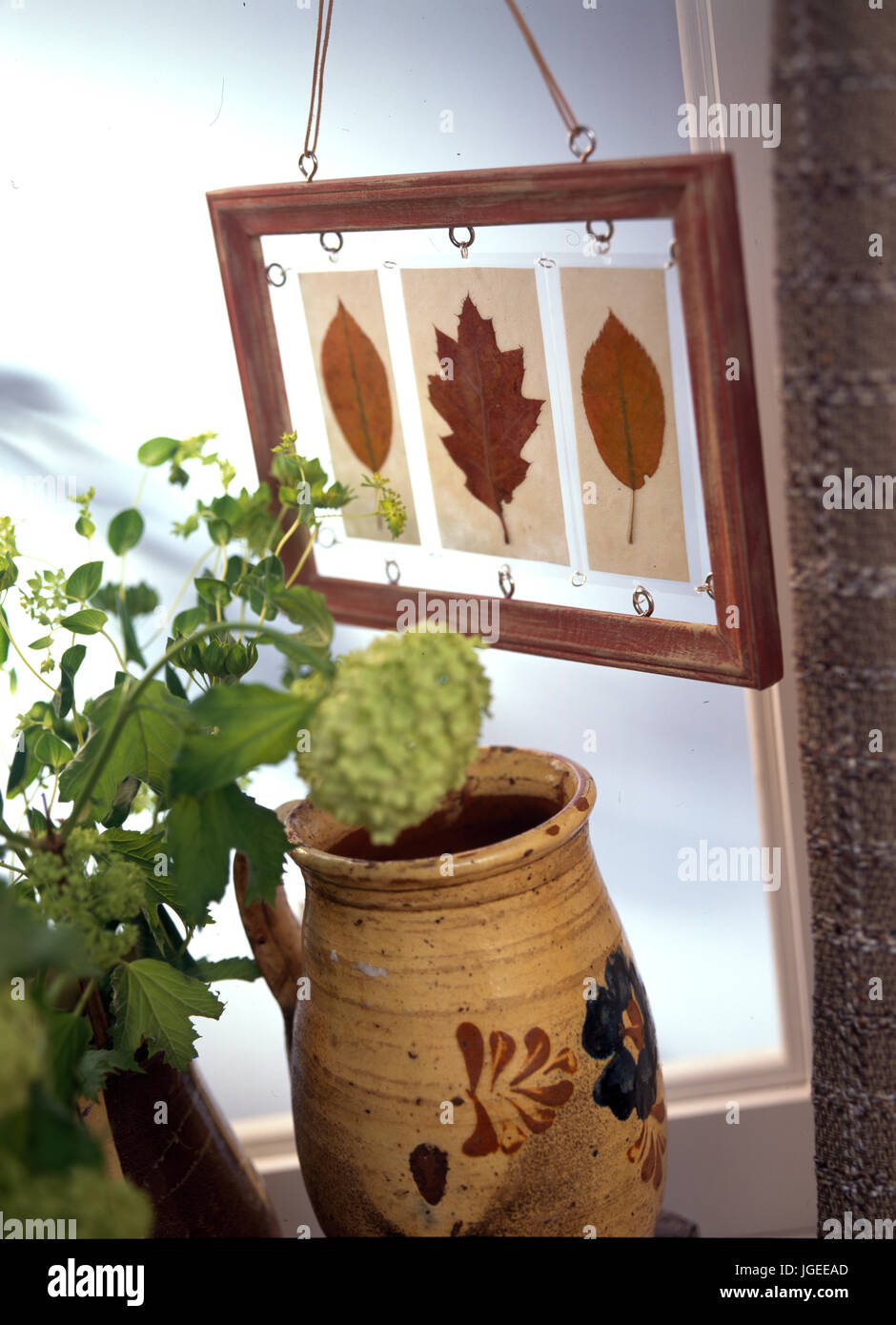 Picture leaves hi-res stock photography and images - Alamy