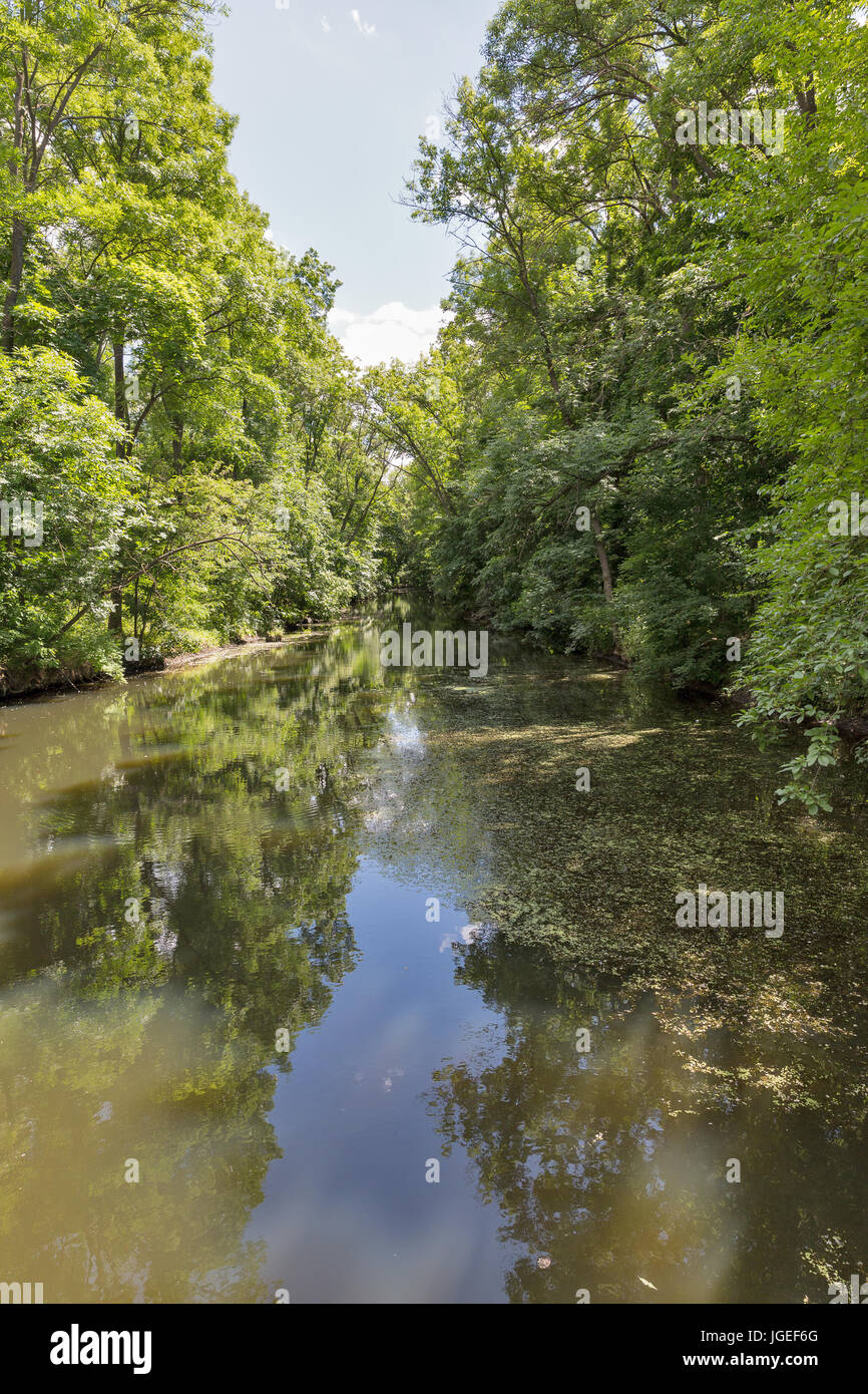 Tricrate forest Labyrinth and river landscape, Ukraine Stock Photo - Alamy