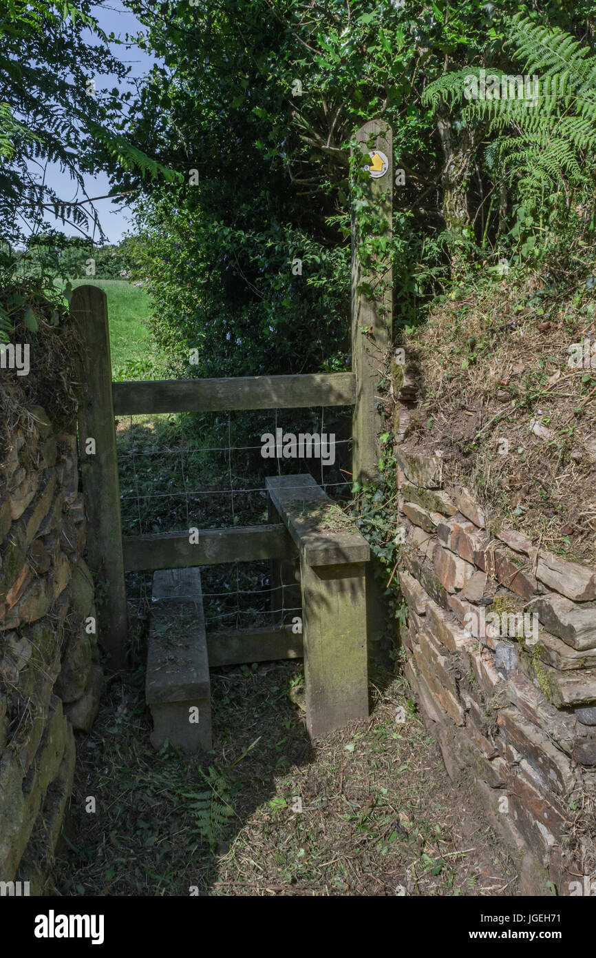 Public footpath stile set in a Cornish hedgerow Stock Photo - Alamy