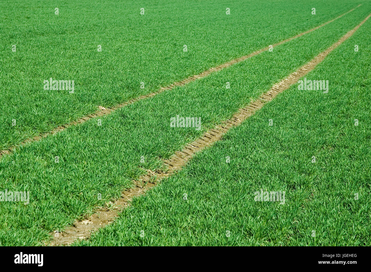 Tire tracks grass hi-res stock photography and images - Alamy