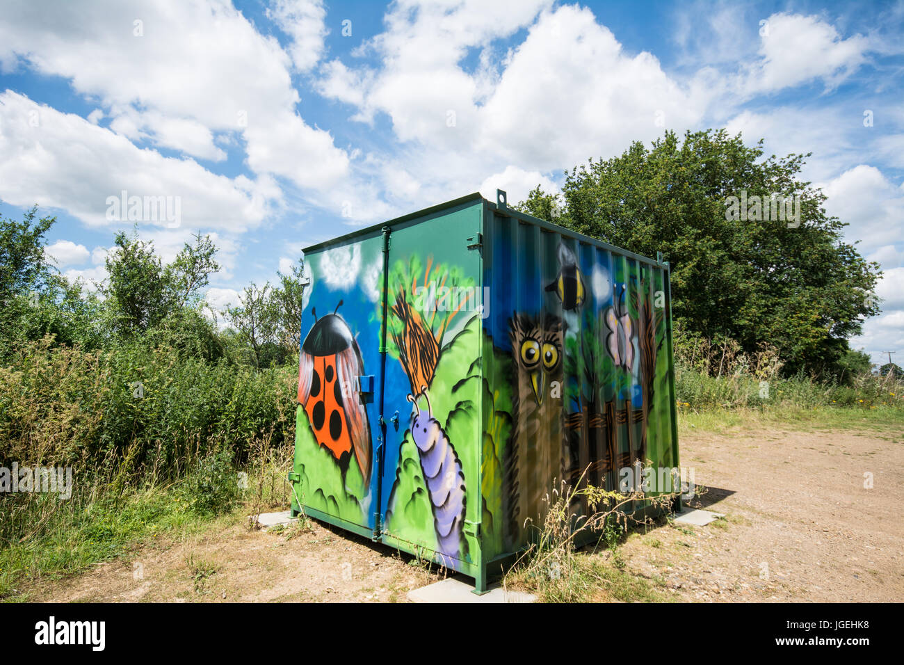abstract colourful Graffiti butterfly and insects Northampton UK owl ...