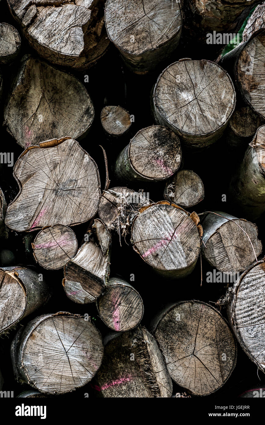 Abstract photo of a pile of natural wooden logs background dry chopped ...