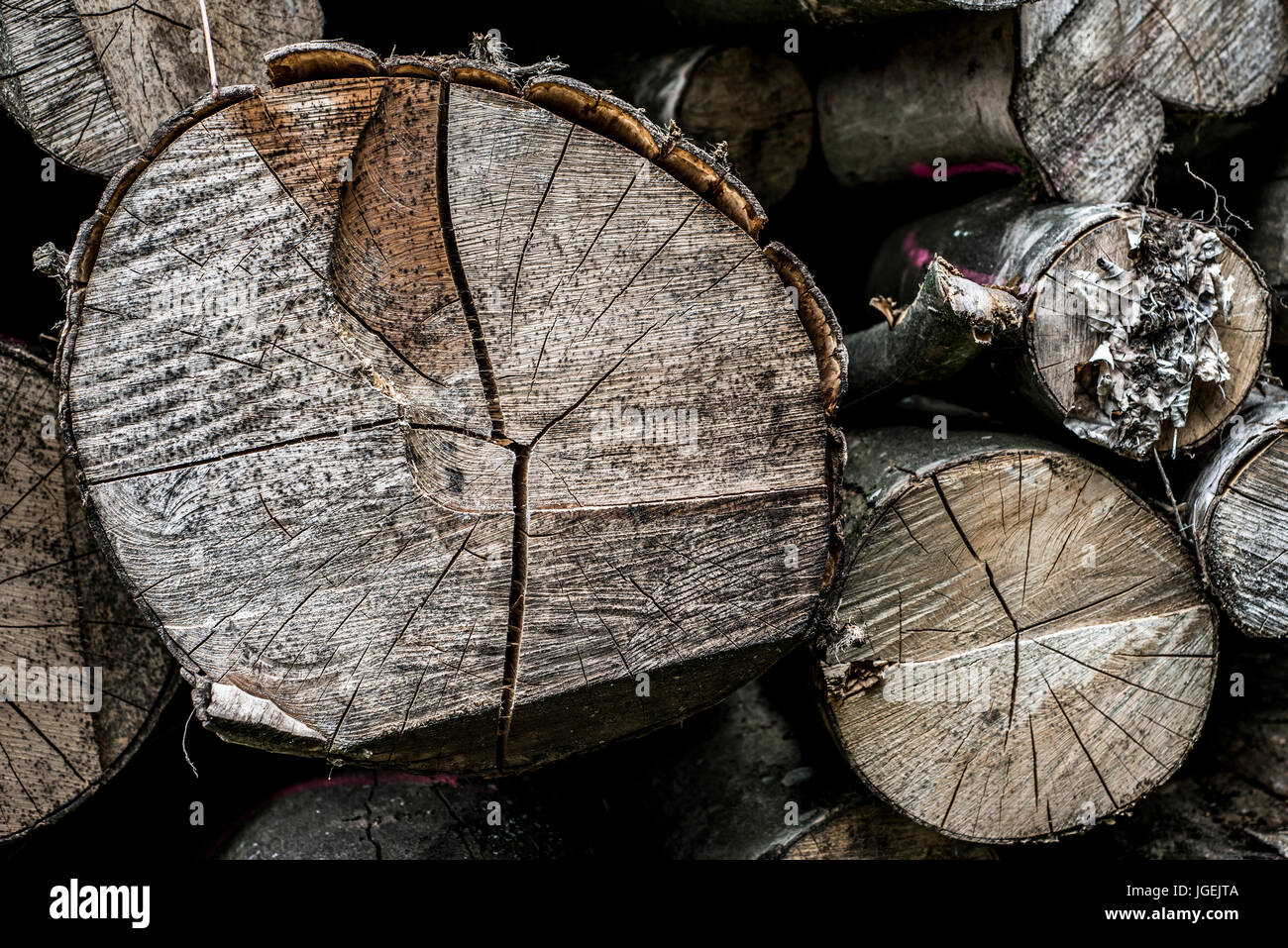 Abstract photo of a pile of natural wooden logs background dry chopped ...