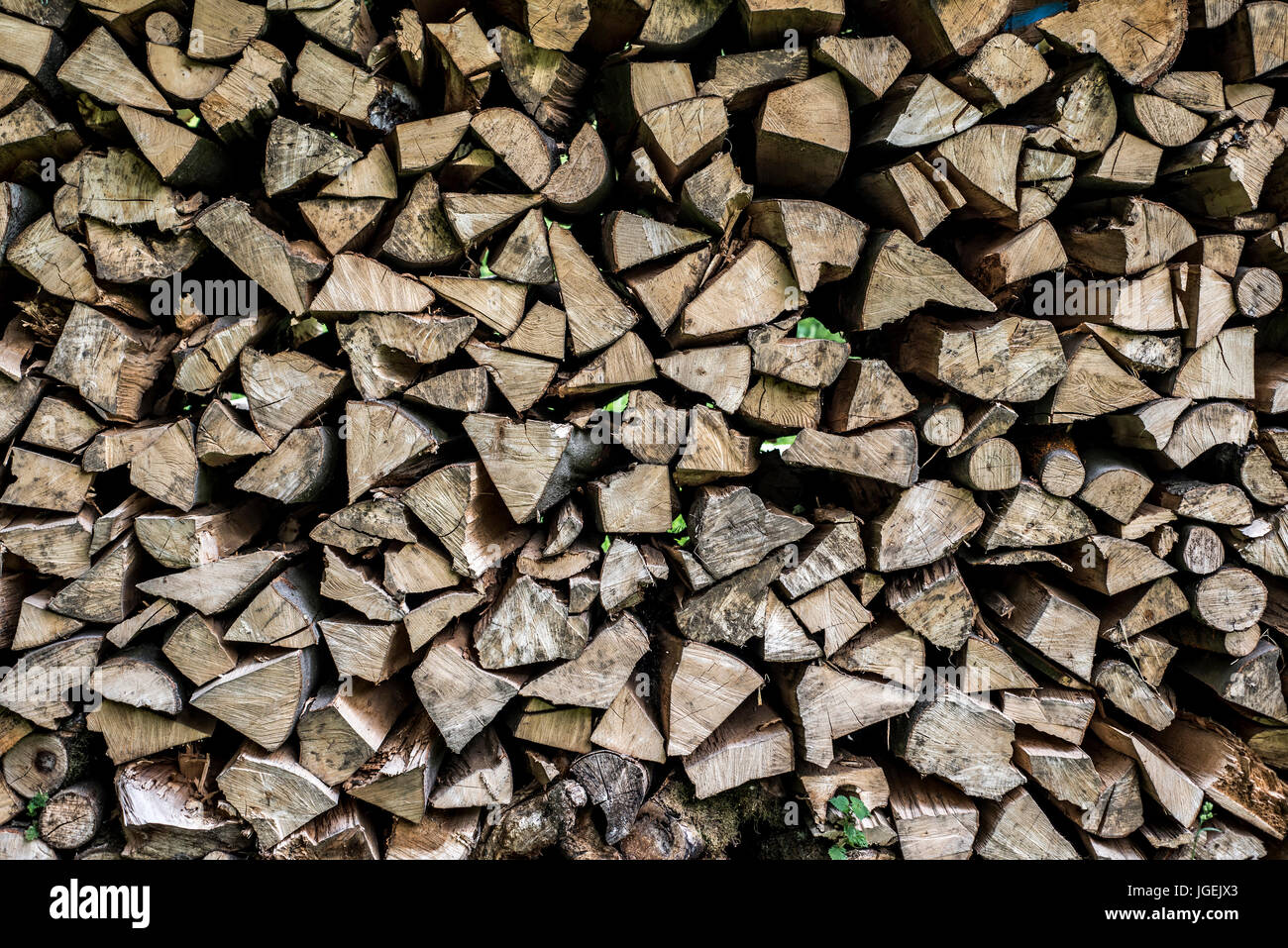 Abstract photo of a pile of natural wooden logs background dry chopped ...