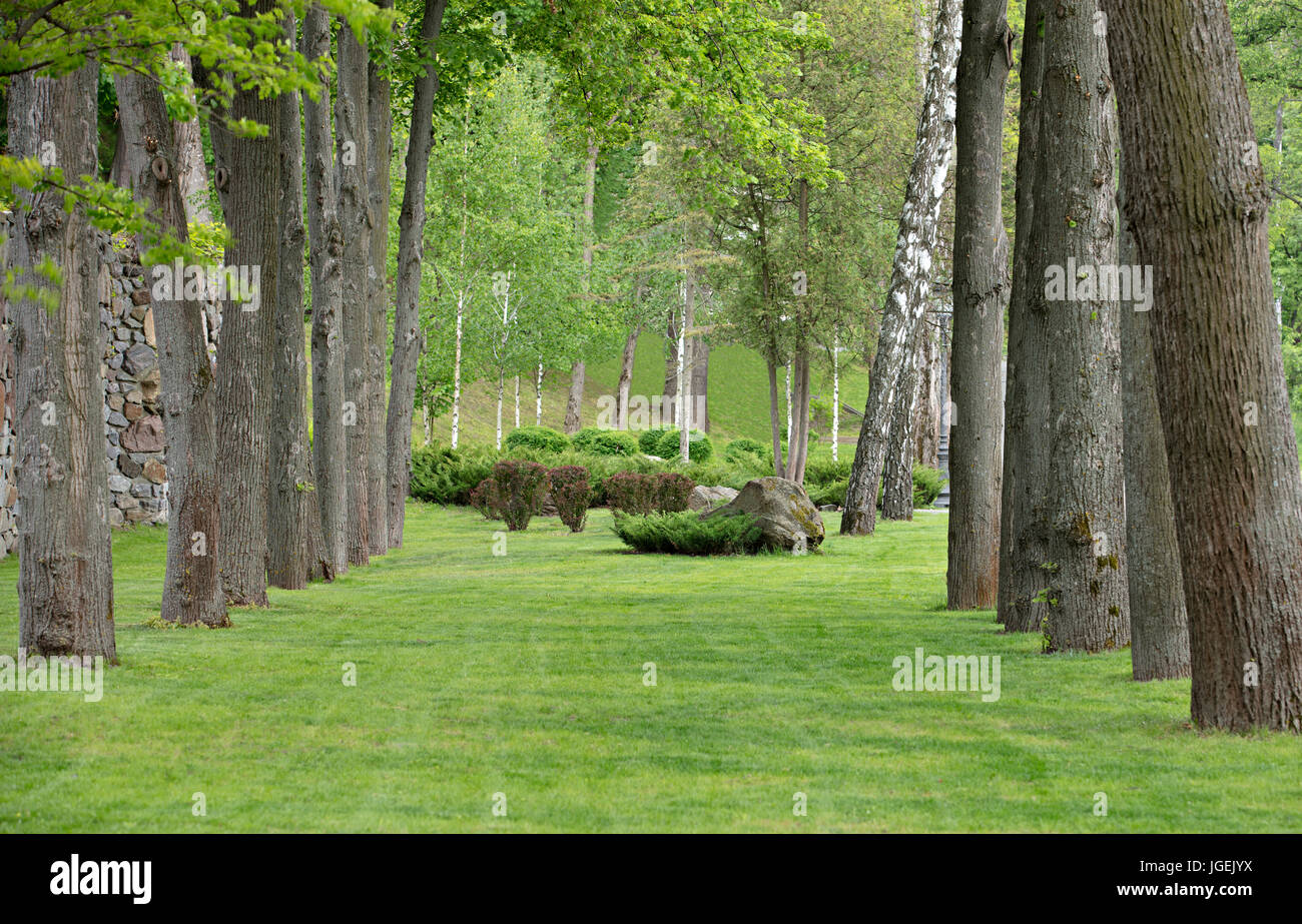 High quality natural gazebo - oak alley in the park with a beautiful ...