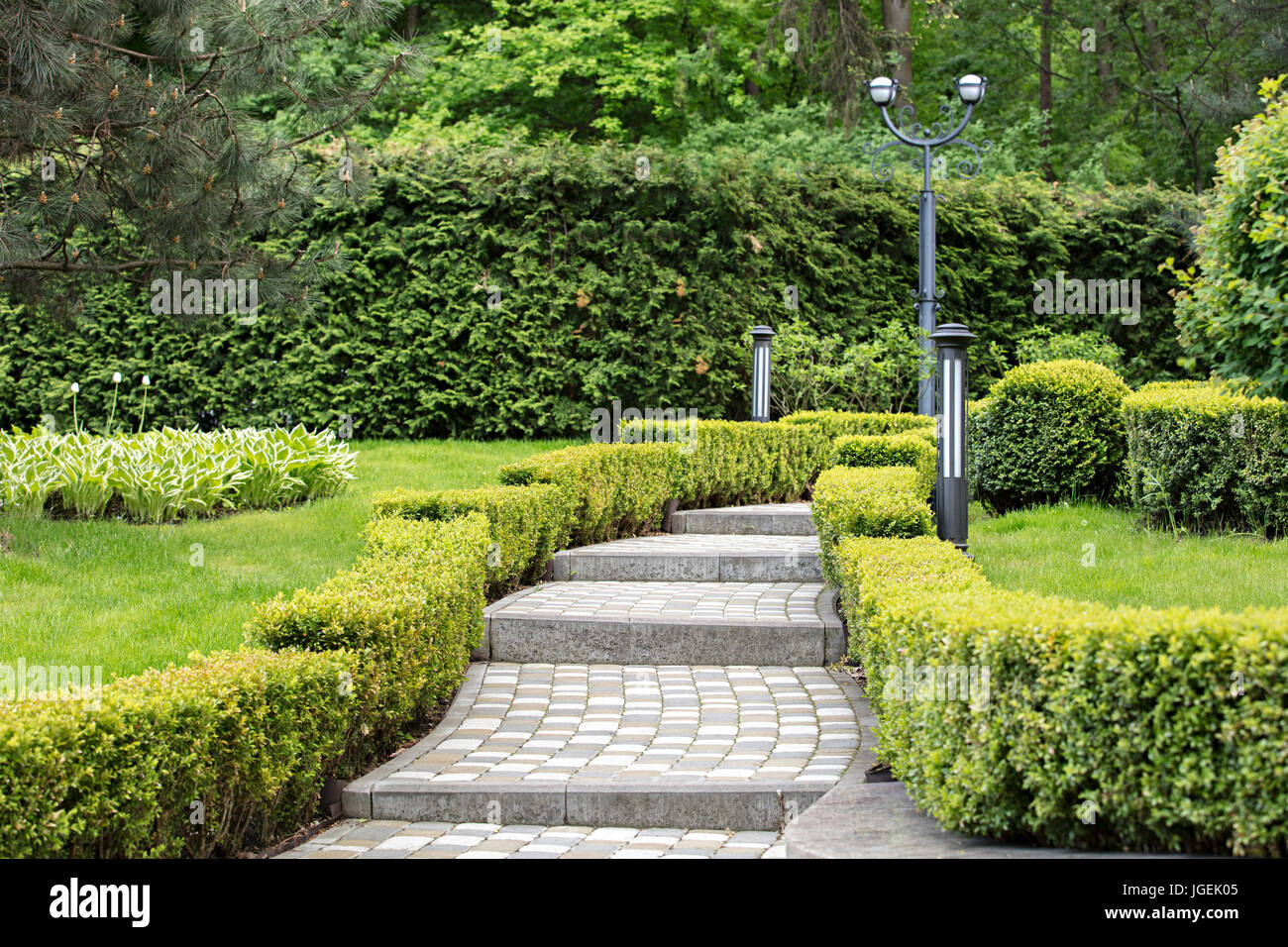 A paved stepped path in a beautiful park passes through a green lawn ...