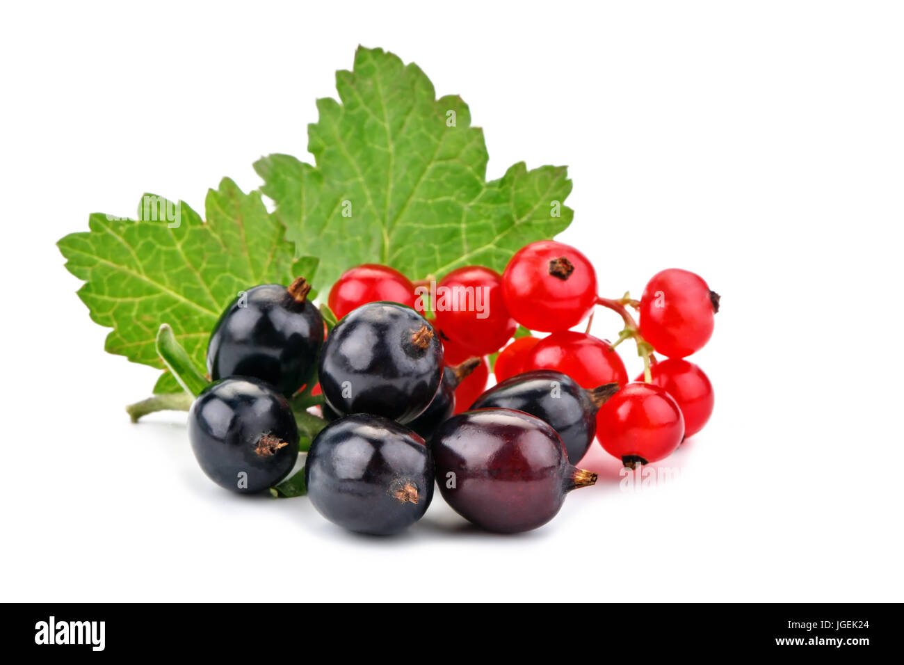 Delicious ripe red and black currant on a white background Stock Photo ...