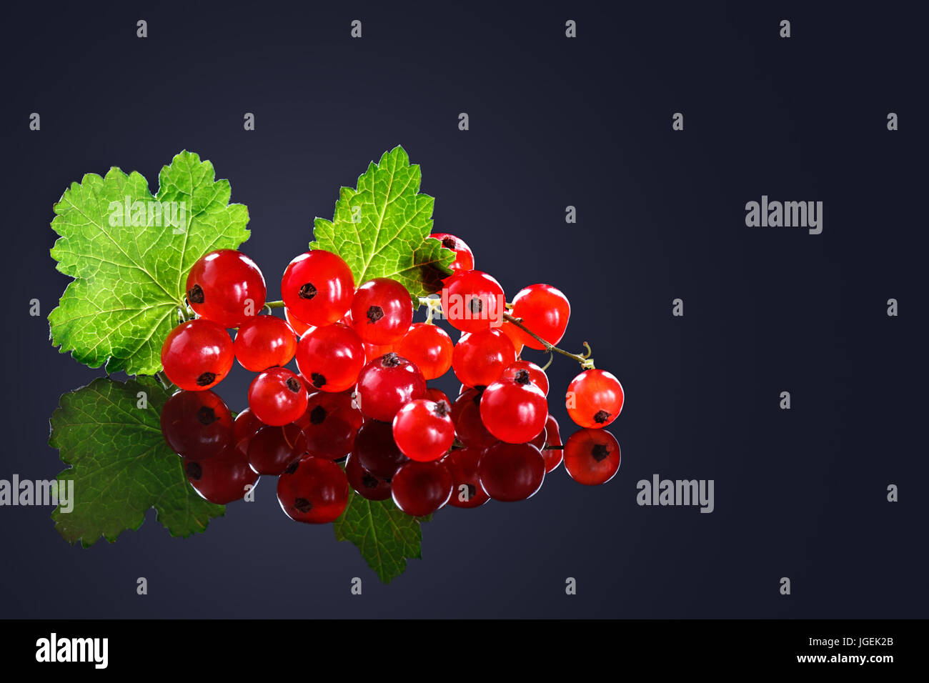 Red berries on stalk hi-res stock photography and images - Alamy