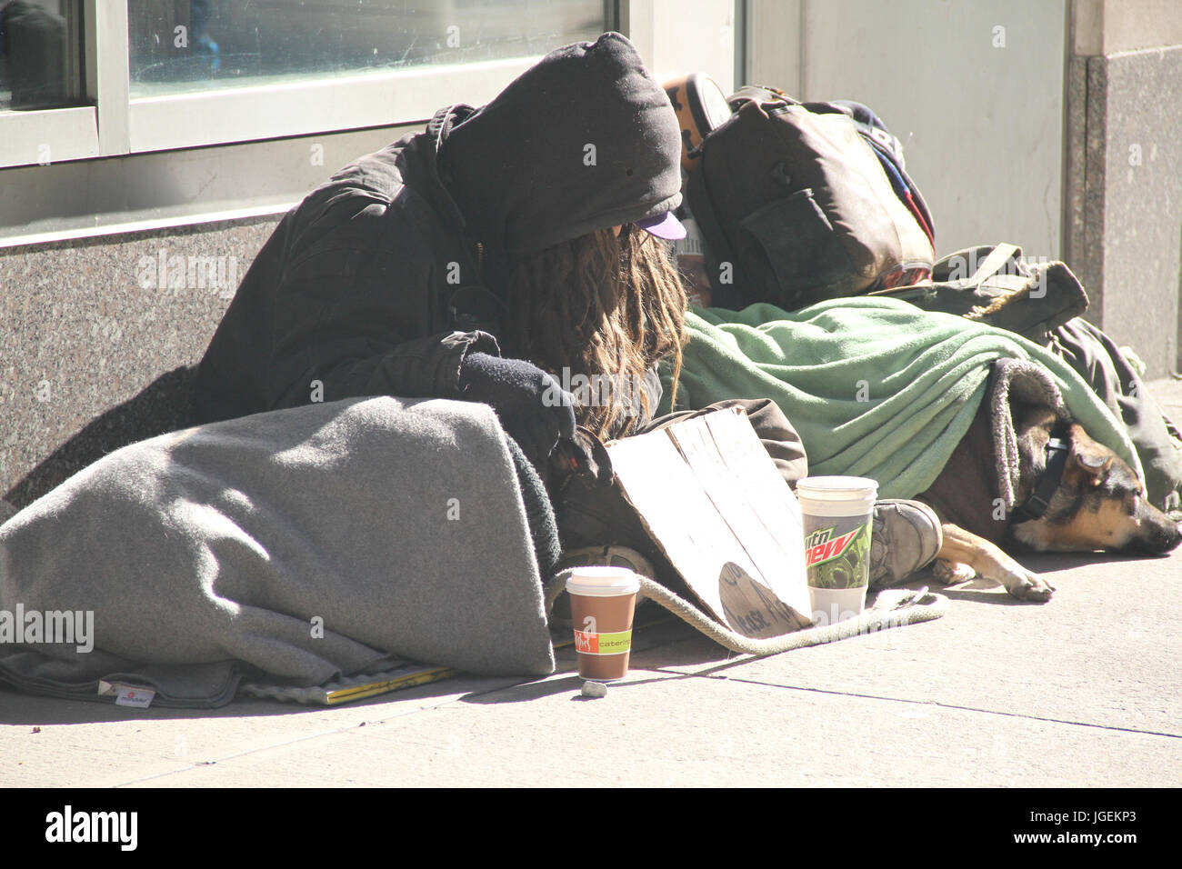 Homeless, Fifth Avenue, Times Square, New York, United States Stock ...