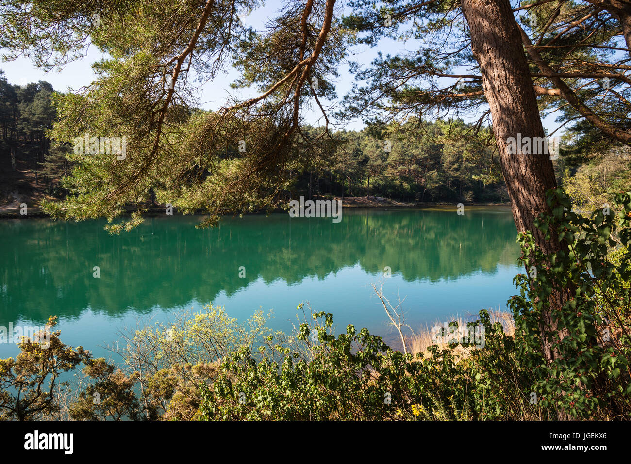 Beautiful landscape image of old clay pit quarry lake with unusual ...