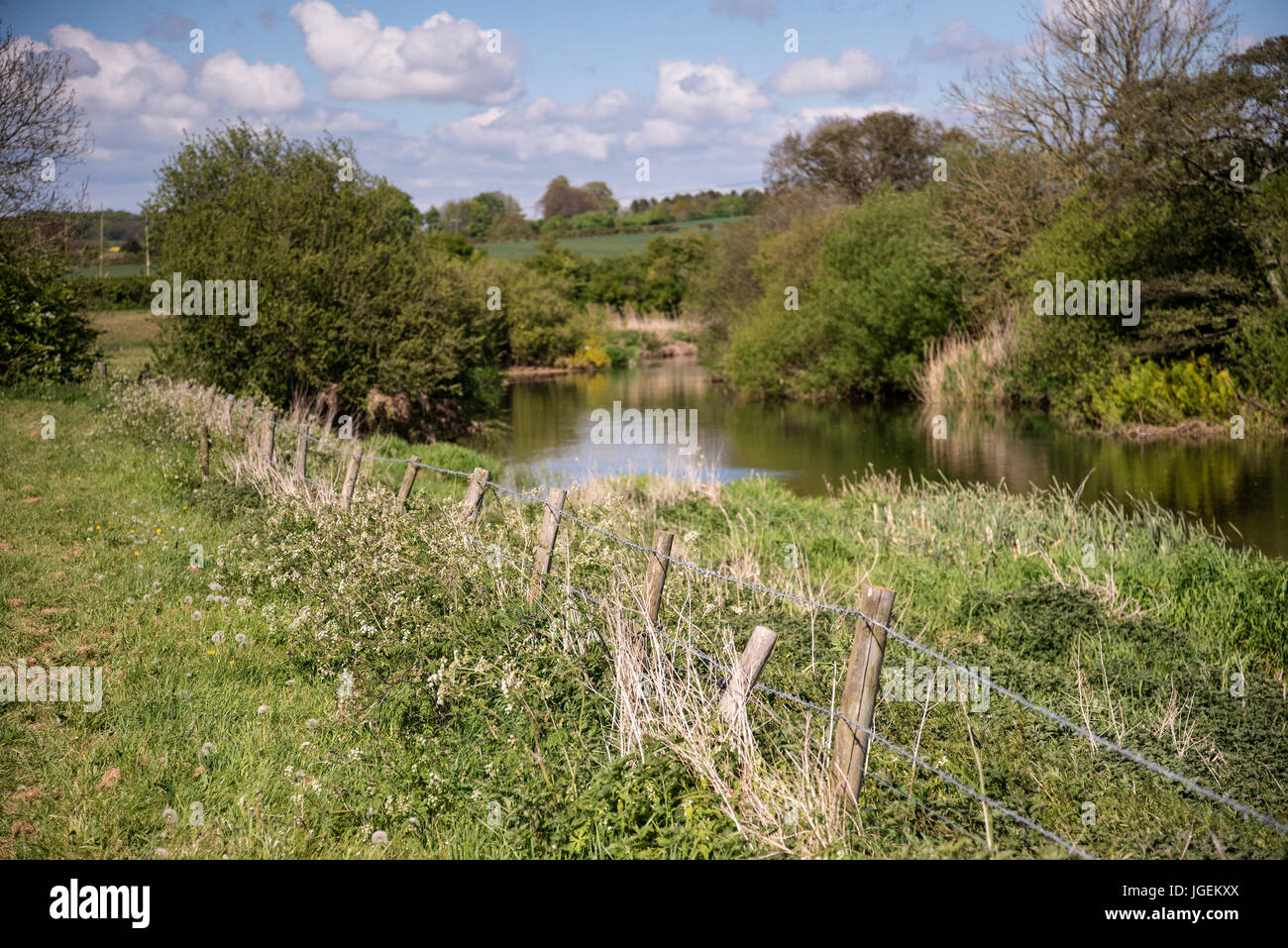 Beautiful English countryside river landscape with shallow depth of ...