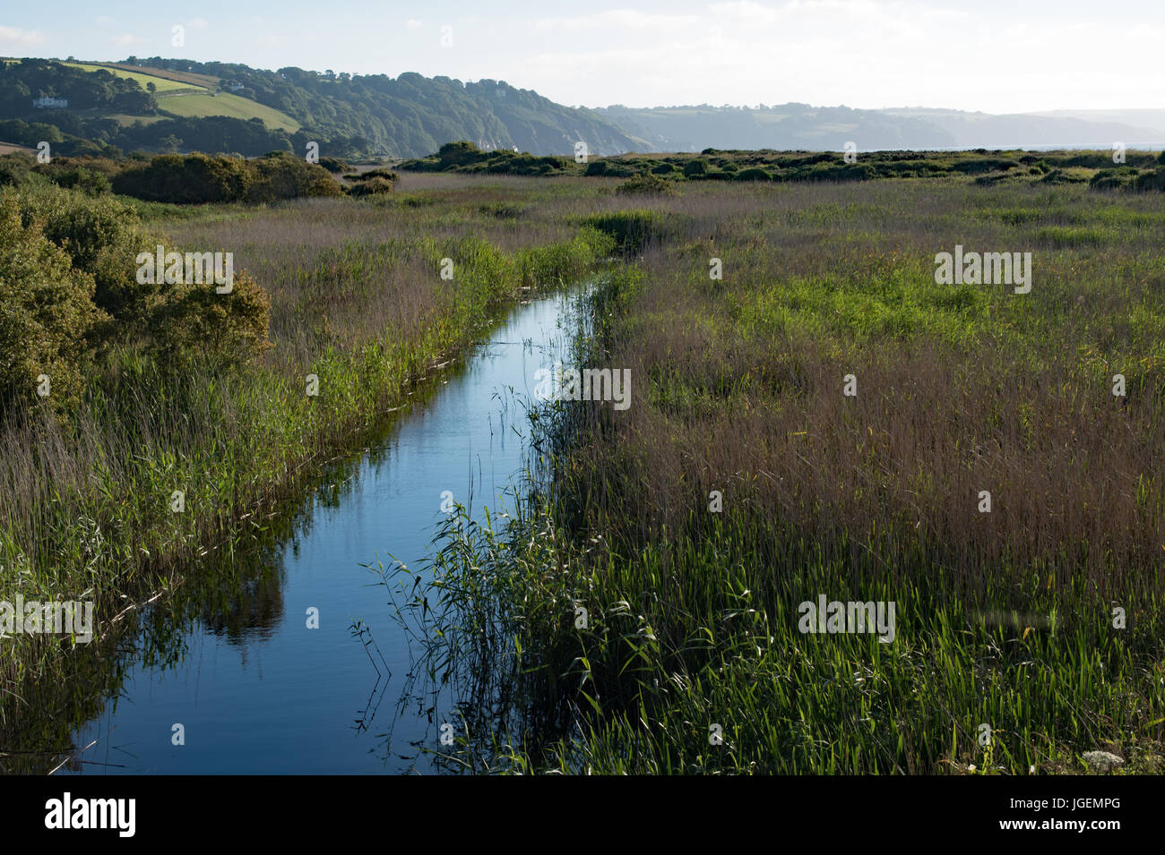Slapton Ley, Slapton Sands, Devon Stock Photo - Alamy