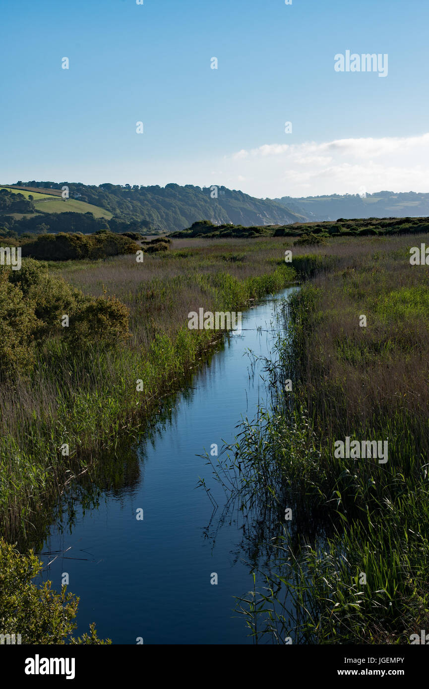 Slapton Ley, Slapton Sands, Devon Stock Photo - Alamy