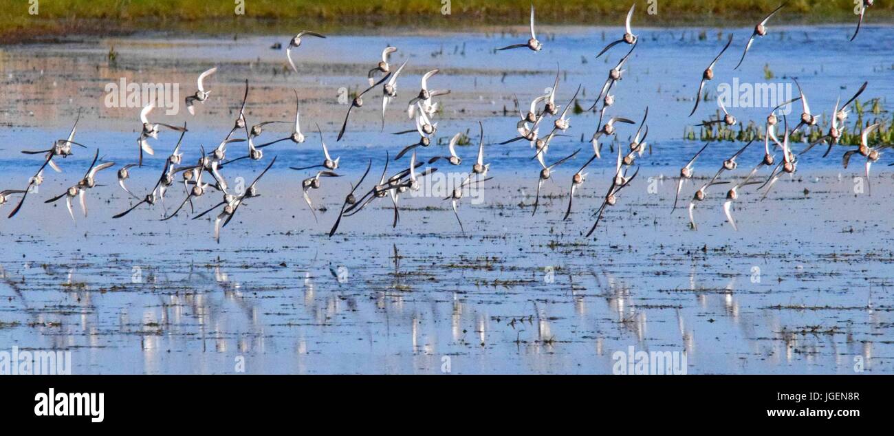 Alkborough hi-res stock photography and images - Alamy