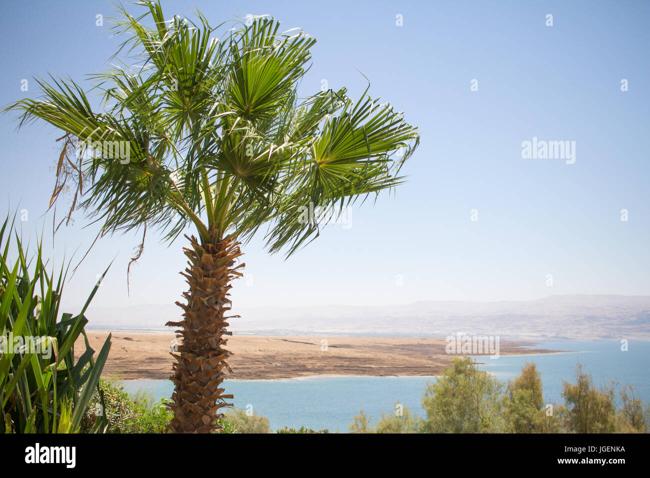 Dead sea Kalia beach Israel Stock Photo - Alamy