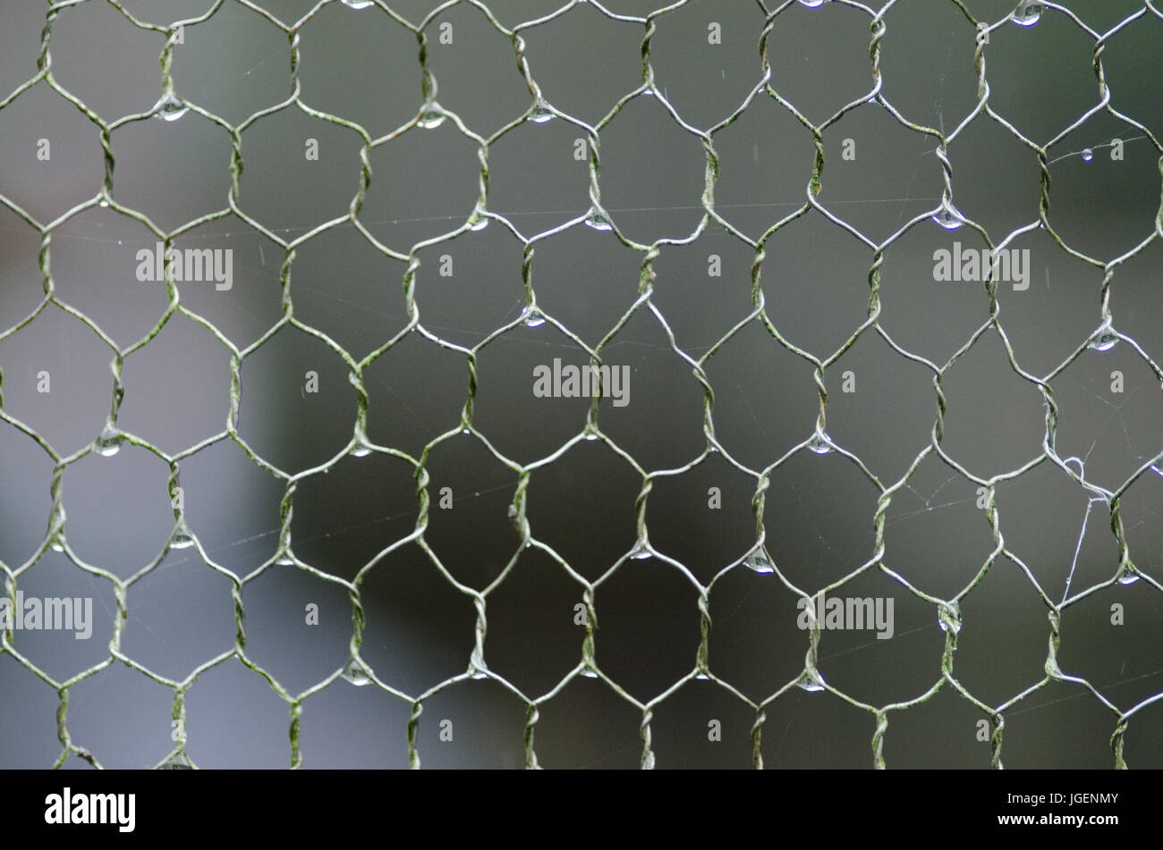 Seamless metal mesh net Stock Photo - Alamy