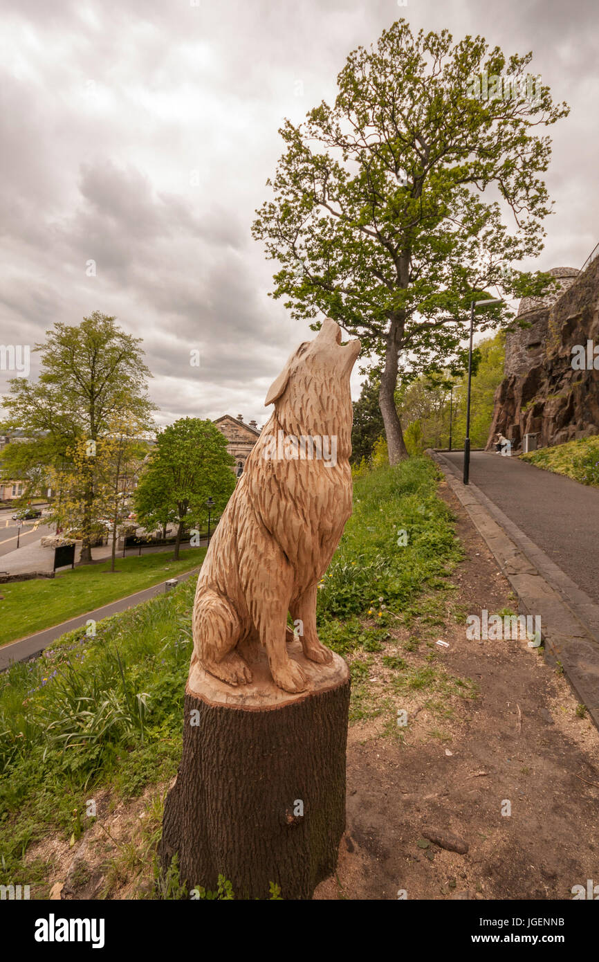 A carving of a wolf at Back Walk,Stirling,Scotland,UK Stock Photo - Alamy