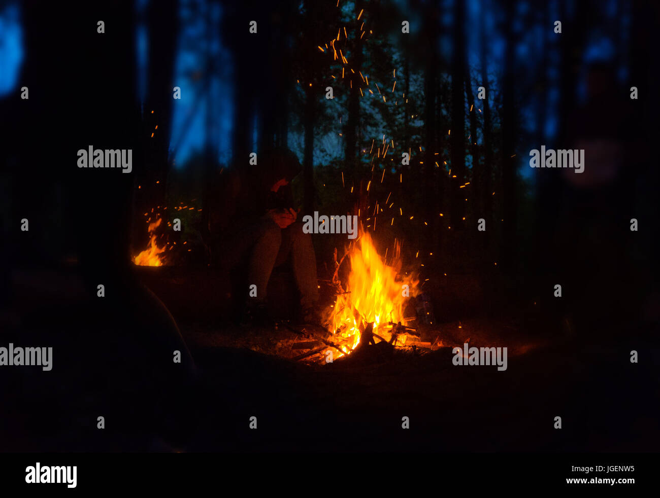 Bonfire in the woods at night, tourist on camping Stock Photo - Alamy