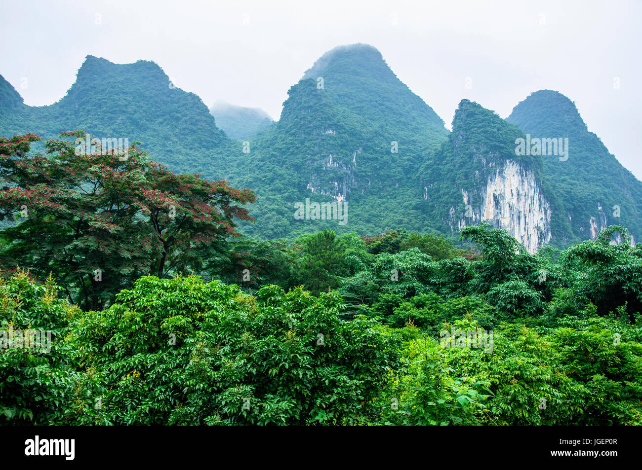 Mountain scenery in spring Stock Photo - Alamy