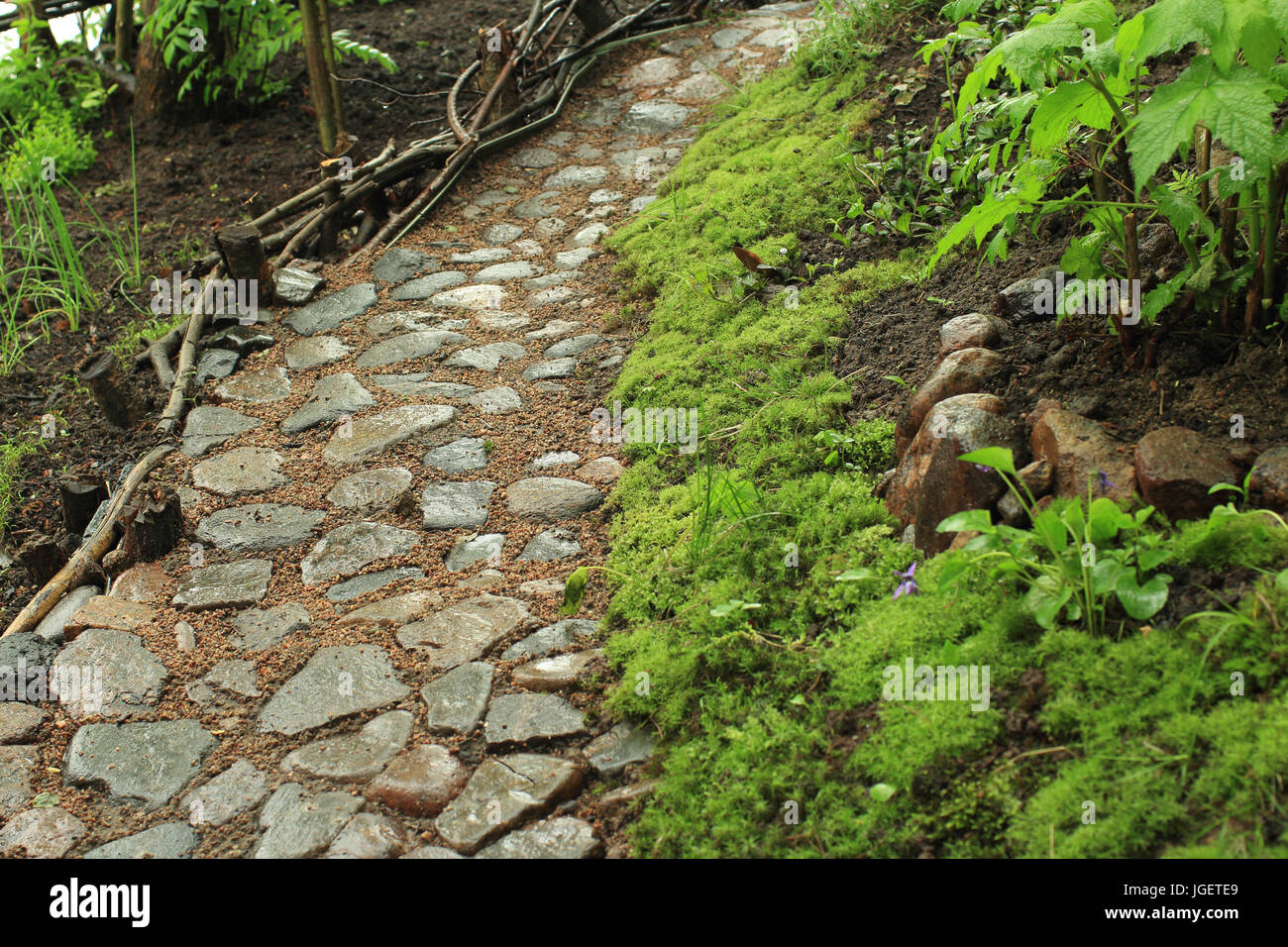 Old cobblestone path green grass hi-res stock photography and images ...