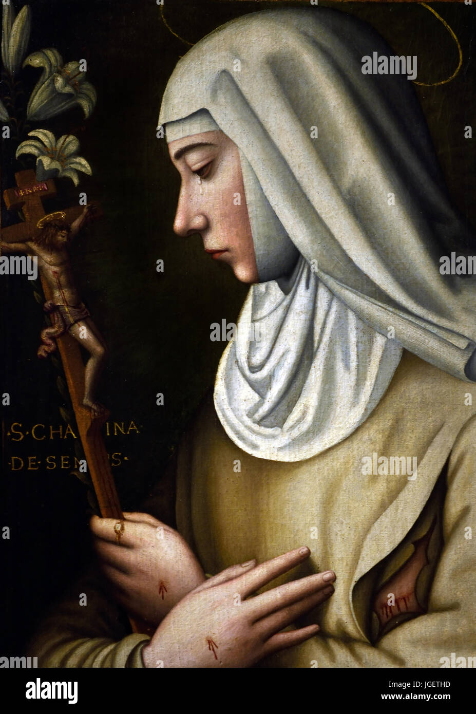 What Is St Catherine De Ricci The Patron Saint Of at Joe Alvarez blog