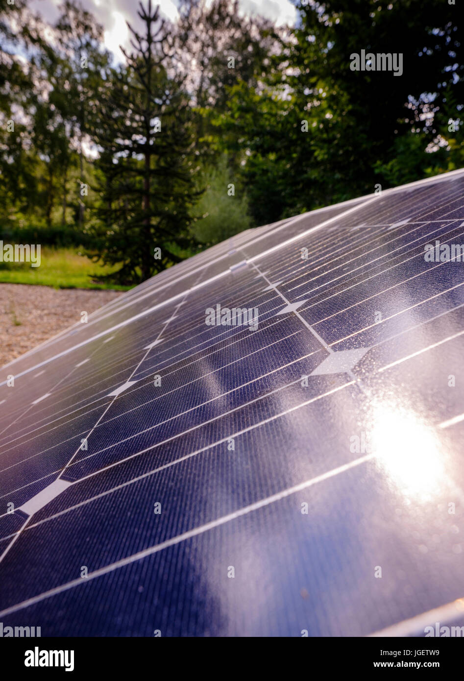 Solar panel tree hi-res stock photography and images - Alamy