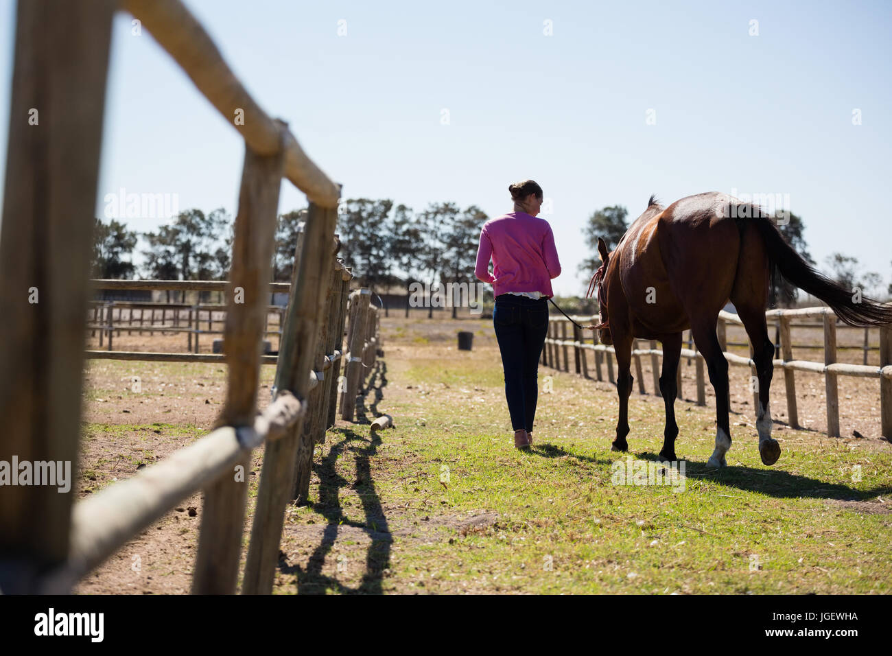 Rear view full length of woman walking with horse at ranch on sunny day ...