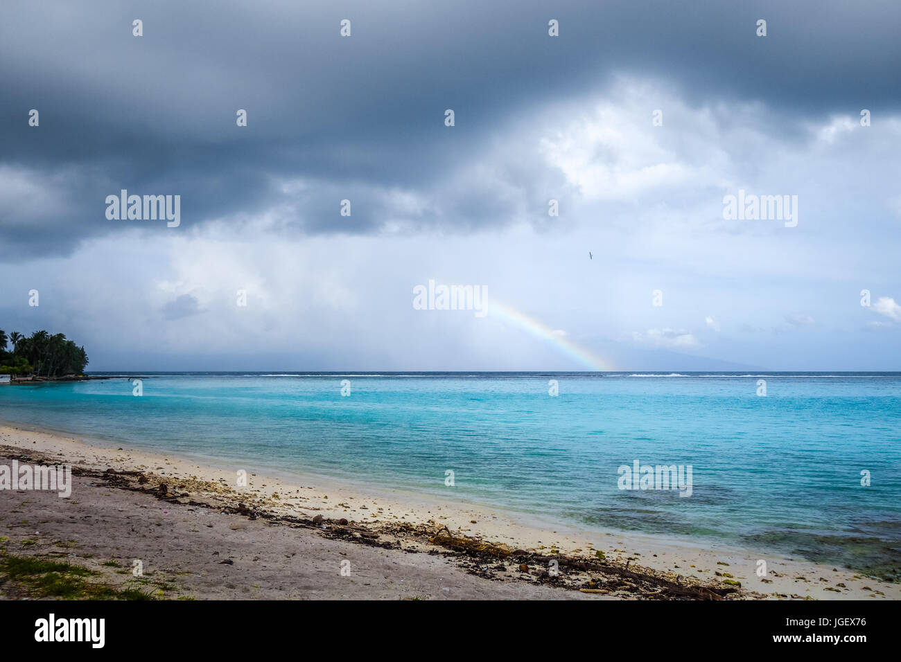 Rainbow on Temae Beach lagoon in Moorea island. French Polynesia Stock ...