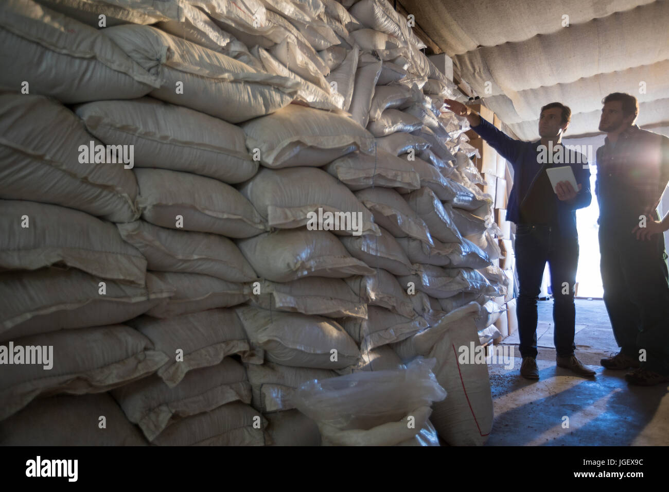 Coworkers examining barley sacks at warehouse Stock Photo - Alamy