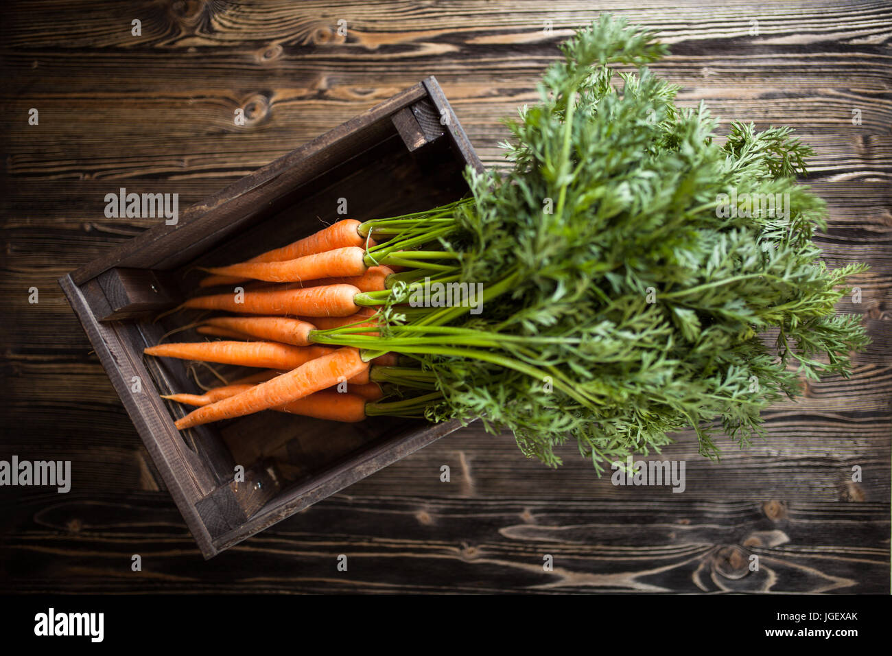 Row carrot hi-res stock photography and images - Alamy