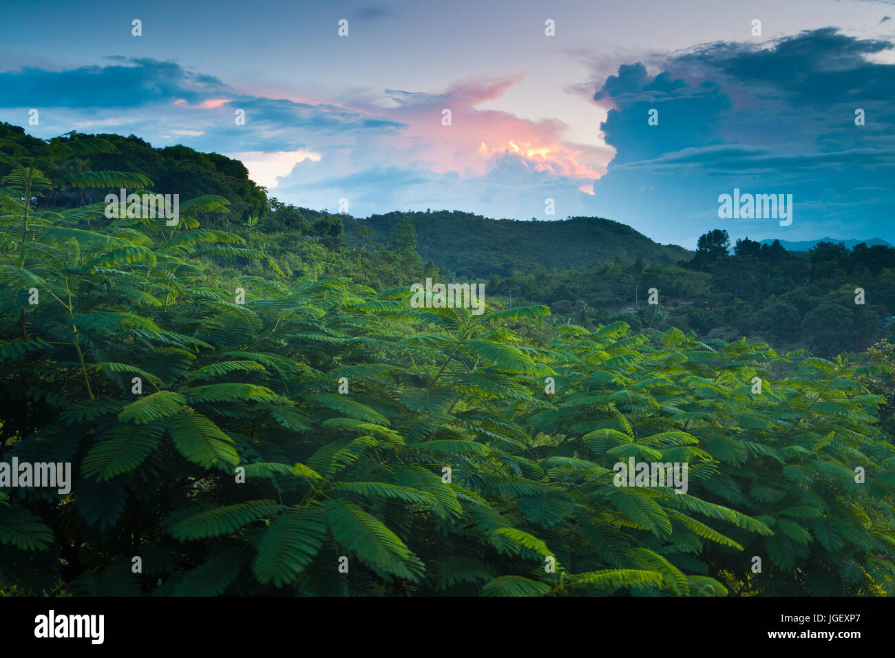 Panama landscape at sunset in the interior of the Cocle province ...
