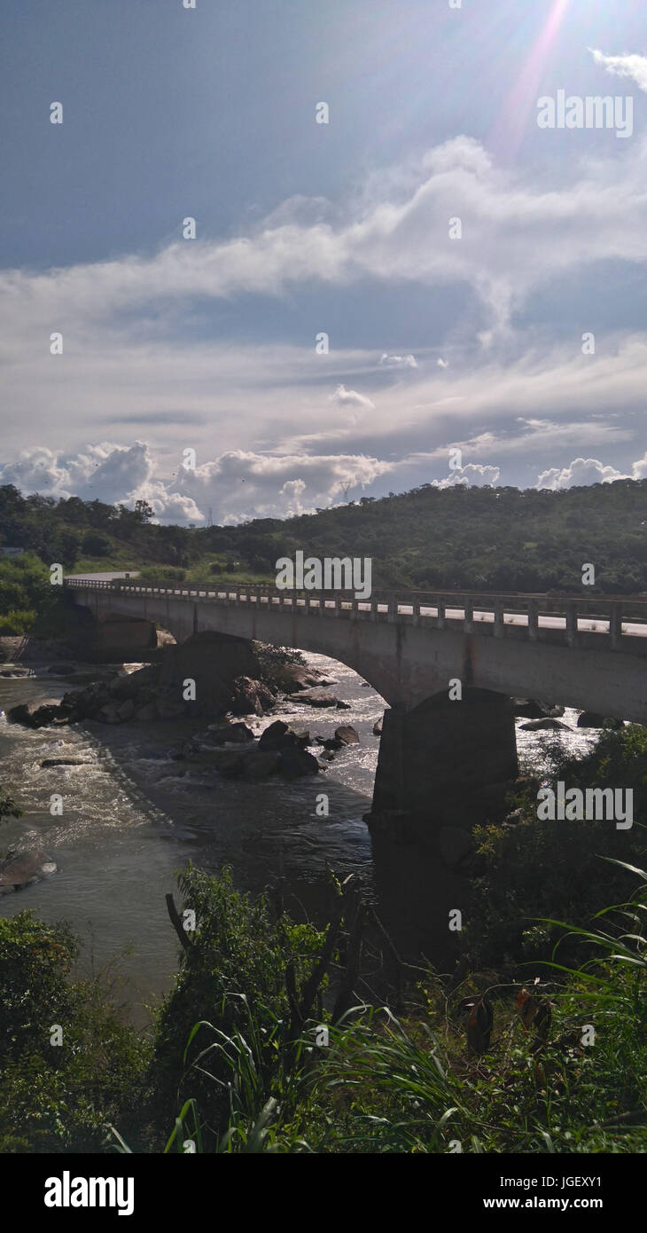 Arvore grande hi-res stock photography and images - Alamy