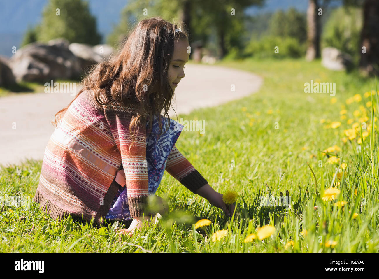 Plucking flower hi-res stock photography and images - Alamy