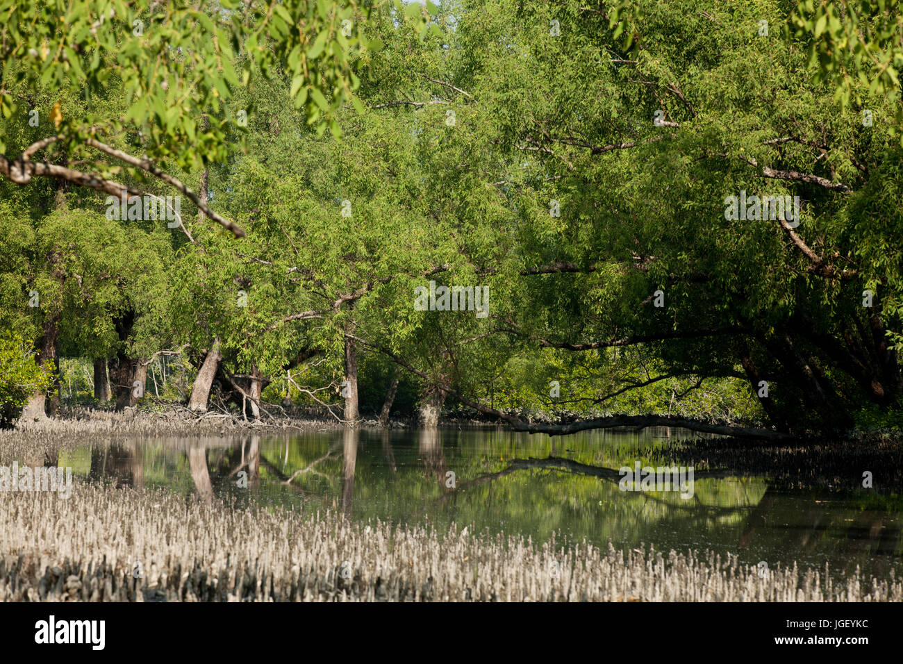 Hiron point hi-res stock photography and images - Alamy