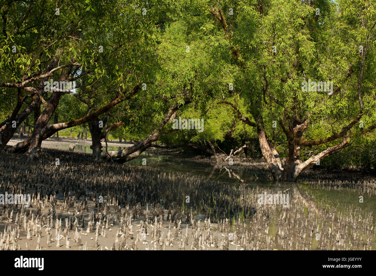 Hiron point hi-res stock photography and images - Alamy